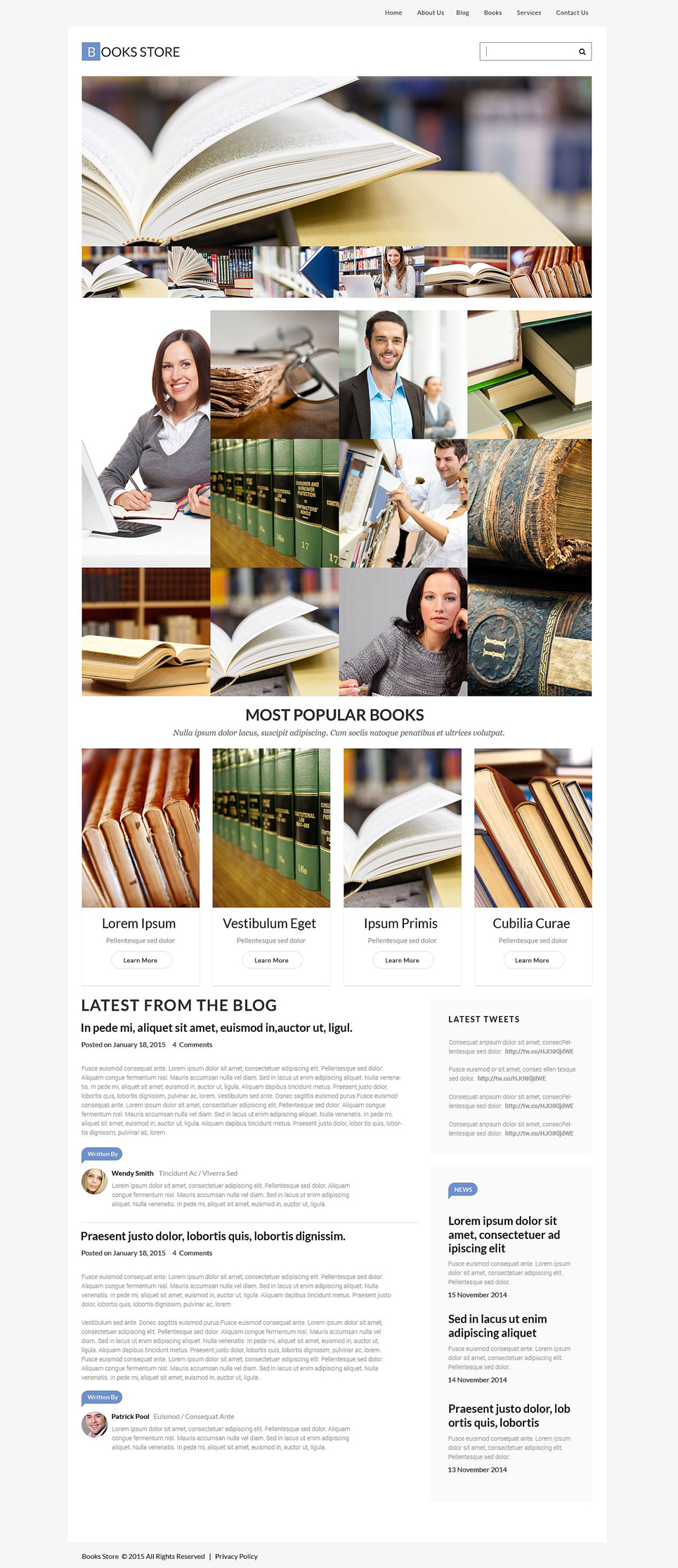 9+ Best Books, Authors & Publishing Company WordPress Themes