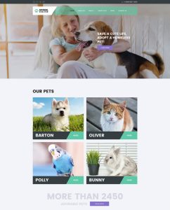 16 of the Best Charity & Nonprofit Joomla Templates