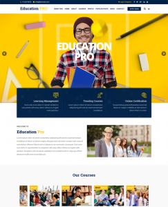 12 of the Best Education WordPress Themes for Schools & Learning Centers