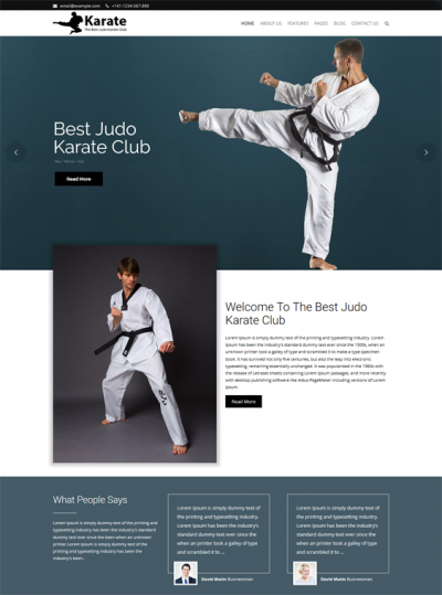 15 of the Best Sports WordPress Themes